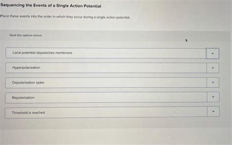Solved Sequencing The Events Of A Single Action Potential