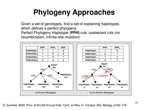 Ppt Haplotyping Algorithm Powerpoint Presentation Free Download Id