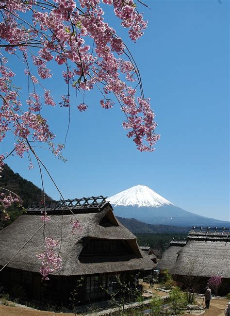 你想看見哪種富士山？超好拍、超絕美、超療癒、超特別！ Traveler Luxe