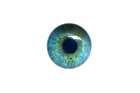 IRIDOLOGY Eyes Mirror Your Health Longevity Sphere