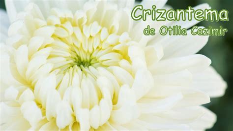 Vara Otilia Cazimir Poezii Despre Anotimpuri Poezii Otilia Cazimir Hot Sex Picture