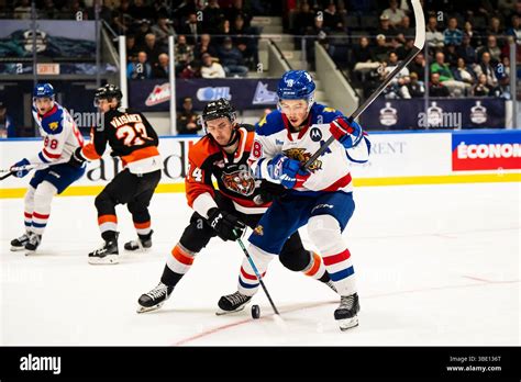 Moncton Wildcats Caleb Desnoyers 18 Is Defended By Medicine Hat