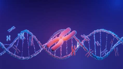 Dna 나선 구조 Dna 나선 상보적 염기서열 유전자 코드 또는 게놈 유전자 발현 뉴클레오타이드 데이터베이스 The