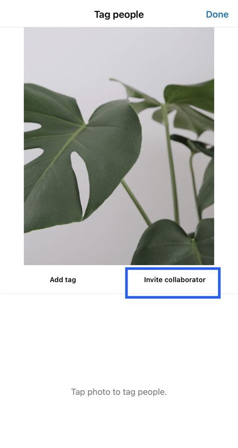¿cómo Hacer Publicaciones Compartidas En Instagram The Social Media Team