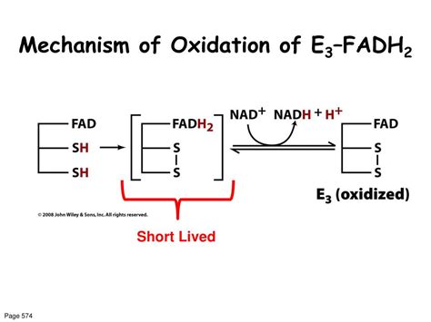 Ppt Aerobic Metabolism Powerpoint Presentation Free Download Id