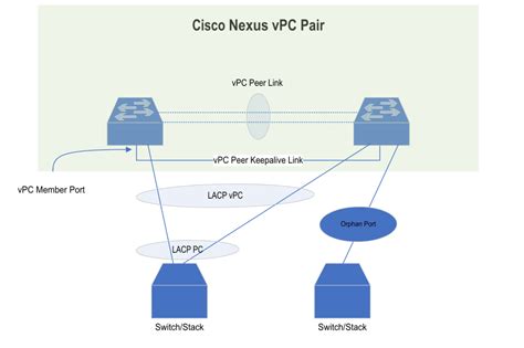 Basic Nexus Vpc Terminology Notes