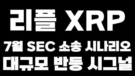 리플 Xrp 7월 Sec 소송 시나리오 대규모 반등 시그널 Youtube
