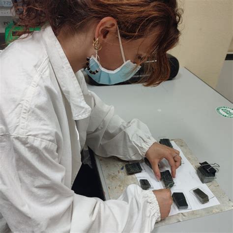 Ornella PACE Università degli Studi della Basilicata Potenza