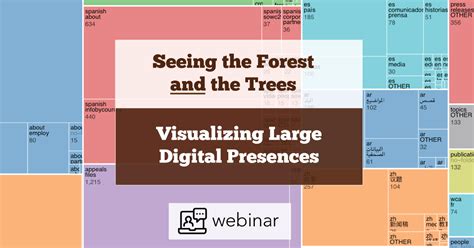 Seeing The Forest And Trees Visualizing Large Digital Presences David Hobbs Consulting Llc