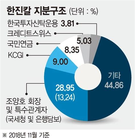 한진칼 Manda 노출 국내 행동주의펀드 첫 대기업 공격 파이낸셜뉴스