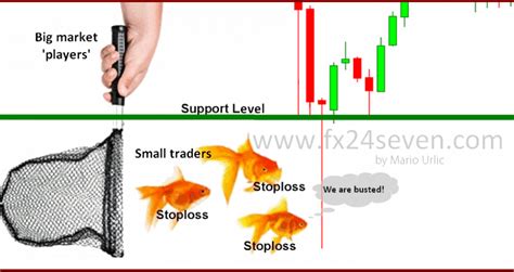 Trailing Stop Loss Definition And Examples Traders Paradise