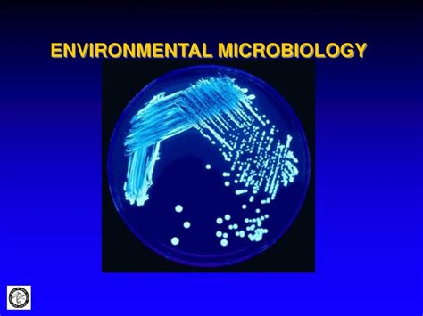 Ppt Environmental Microbiology Powerpoint Presentation Free Download