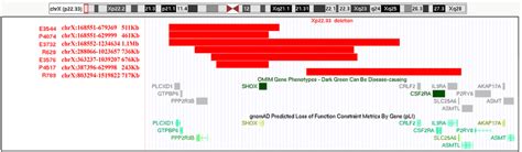 Chromosomal Microarray Analysis Highlighting Xp2233 Or Yp1132