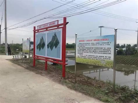 盐城亭湖“小田变大田”改革试验做法被中央1号文件吸收手机新浪网