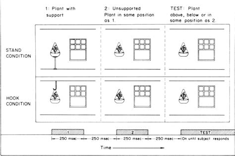 Figure 1 From Representing Statics As Forces In Equilibrium Semantic