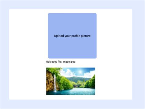 Custom File Upload Input In JavaScript CodeHim