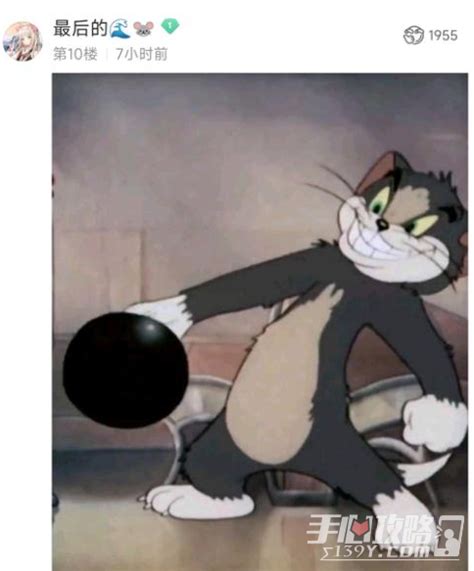 网络流行语猫鼠队杀疯了是什么梗？猫鼠队杀疯了梗意思介绍 网络 流行语 知识百科 川北在线