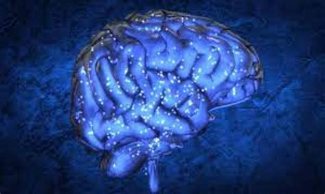 Quem é O Neuropsicopedagogo O Que Ele Faz Qual Sua Identidade