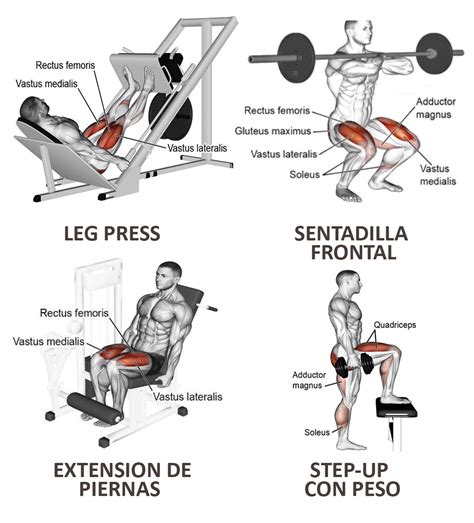 Los Mejores Ejercicios Para Piernas
