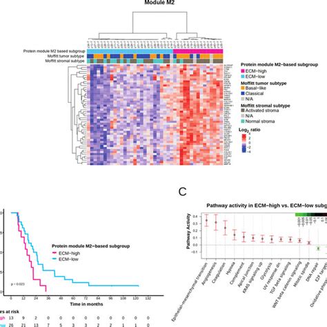 M Module With Enriched Pathways Relation To Moffitt Transcriptomic