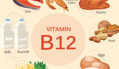 Какво е витамин B12 Credoweb