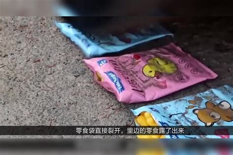 把5盒牙膏放到车轮下启动汽车你猜牙膏会变成什么样真厉害 牙膏 车轮下 汽车