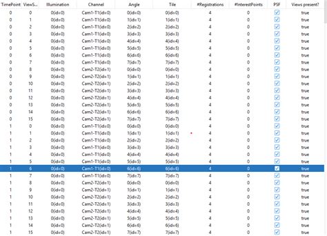 bigstitcher multiview deconvolution not working usage and issues