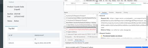 Issues With IIS On Page Loads Angular Radzen