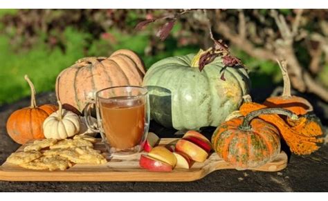 Mulled Cider Recipe Harvest Connection New York
