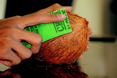 Coco Mic The Diy Studio Quailty Usb Mic Mems Technology 18