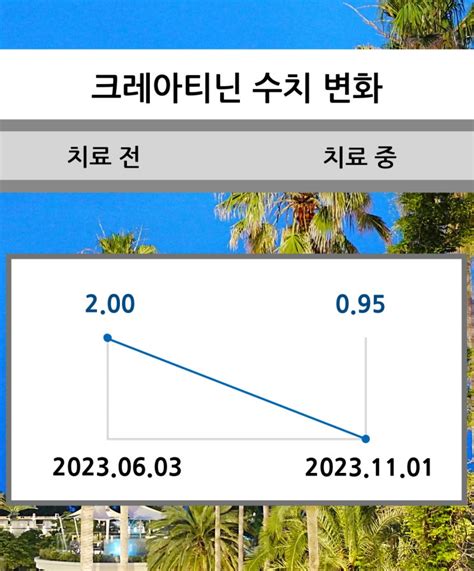 크레아티닌 정상수치 회복과 크레아티닌 수치 상승 이유 네이버 블로그