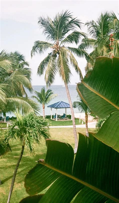 Award Winning Travel Agency Caribbean Resorts