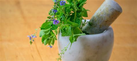 Local Herbalist Guide Natural Awakenings South Central Pennsylvania