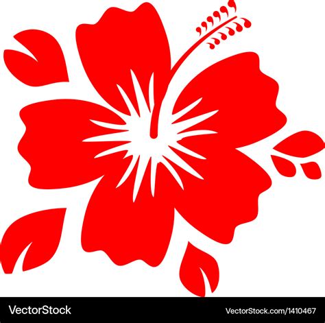 Hibiscus Flower Royalty Free Vector Image Vectorstock