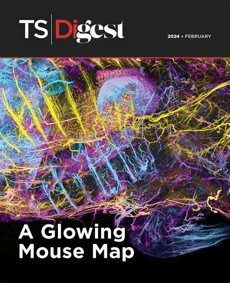 A Glowing Mouse Map The Scientist