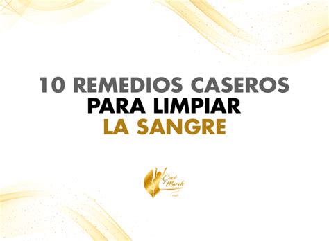 10 Remedios Caseros Para Limpiar La Sangre Coco March