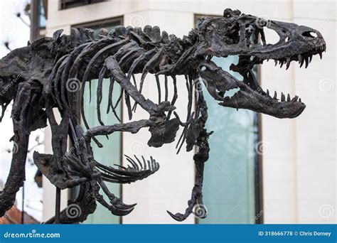 T Rex Skeleton Statue At Berkeley Square In London Uk Editorial Stock
