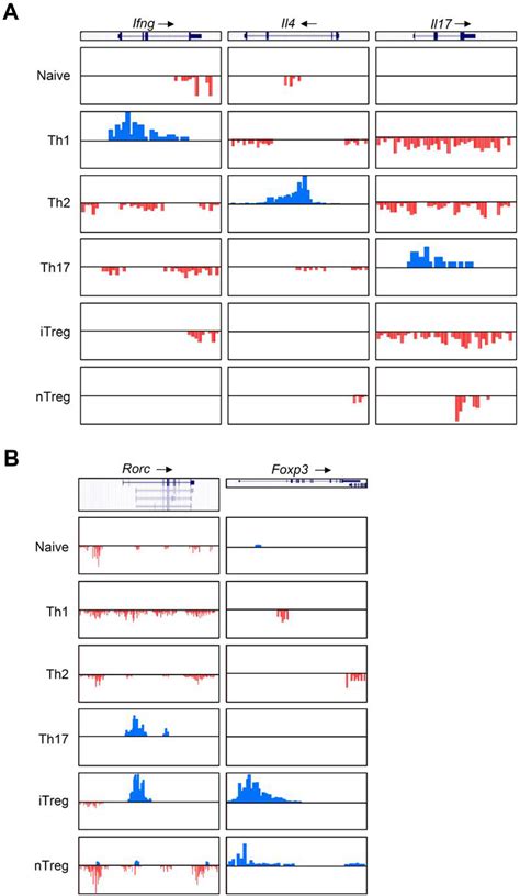 Global Mapping Of H3k4me3 And H3k27me3 Reveals Specificity And