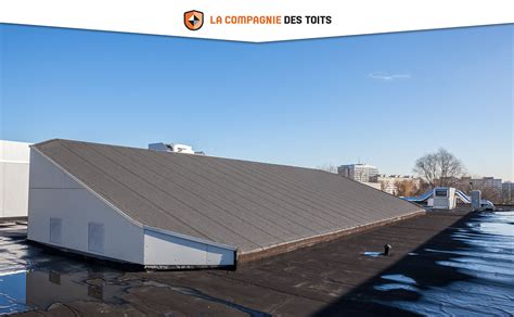 Fuite De Toiture En Copropriété Que Faire