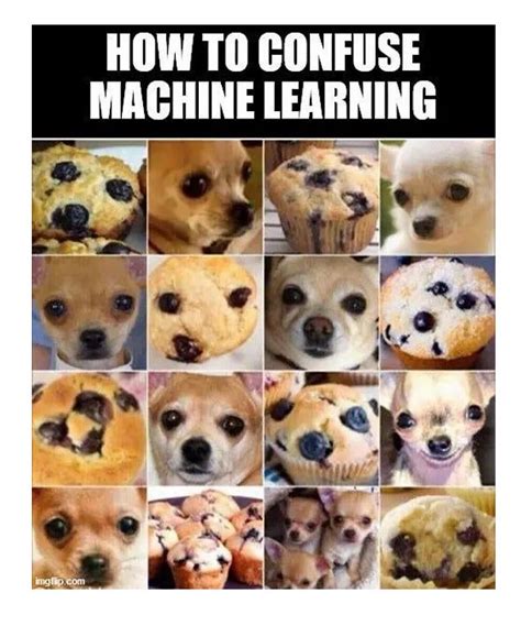 Rahul Ladhani On Linkedin Machinelearning Datascience Ai