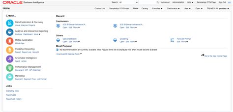 Oracle Business Intelligence 企业版简介