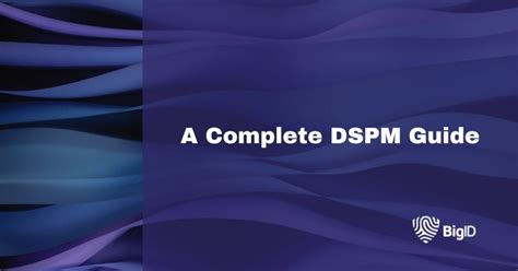 A Complete DSPM Guide BigID