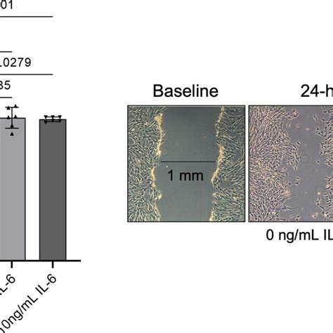 Tpc Viability Measured Via Mtt Assay After 24 H Of Monolayer Culture In