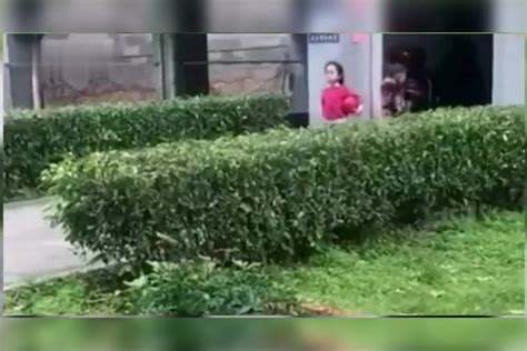 本以为是和谐相处的姐弟，没想到姐姐却偷偷使坏，直接把弟弟绊倒