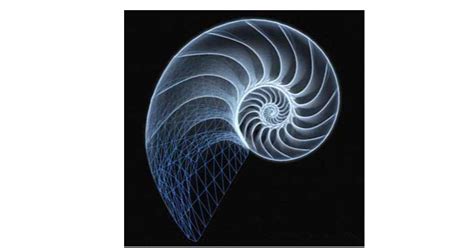 Fibonacci Numbers Codesandbox