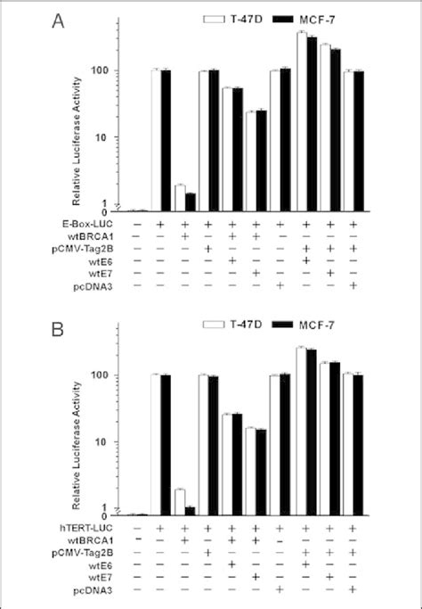Effect Of Hpv Oncoproteins E7 And E6 On Other Functional Activities Of