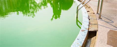 Como tratar água verde da piscina Henrimar