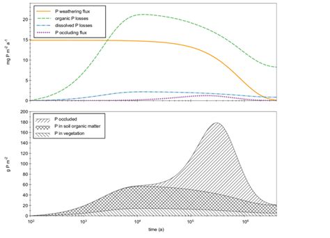P Temporal Dynamics For An Ecosystem With A Large Initial Amount Of Download Scientific