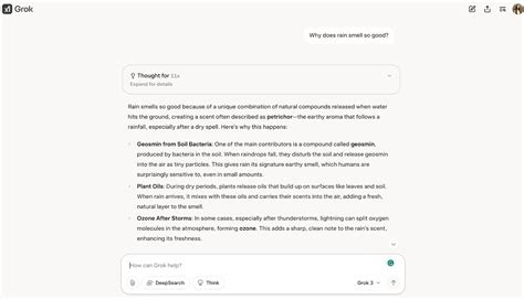 grok 3 review i tested 100 prompts and here s the truth 2025 ai