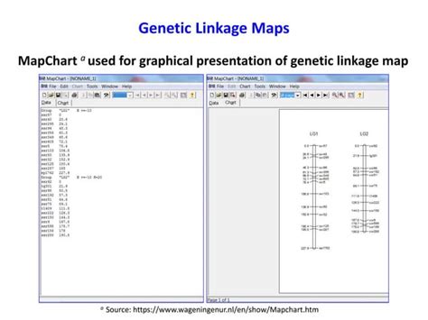 Linkage Mapping Lab PPTX Genetics Science